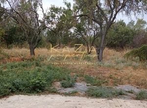 Rent, Craft space, 115m² Thermi, Neo Risio | 18166557 | Spitogatos