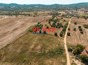 Sale, Parcel, 2011m² Kassandra, Kassandreia | 18264432 | Spitogatos