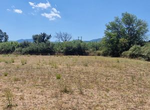Sale, Parcel, 4787m² Meligala, Zevgolatio | 18382479 | Spitogatos