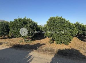 Sale, Parcel, 13000m² Argos, Inachos | 19026899 | Spitogatos