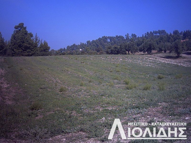 Πώληση, Αγροτεμάχιο, 4700τ.μ. Χαλκιδική, Κασσάνδρα | 3483530 | Spitogatos