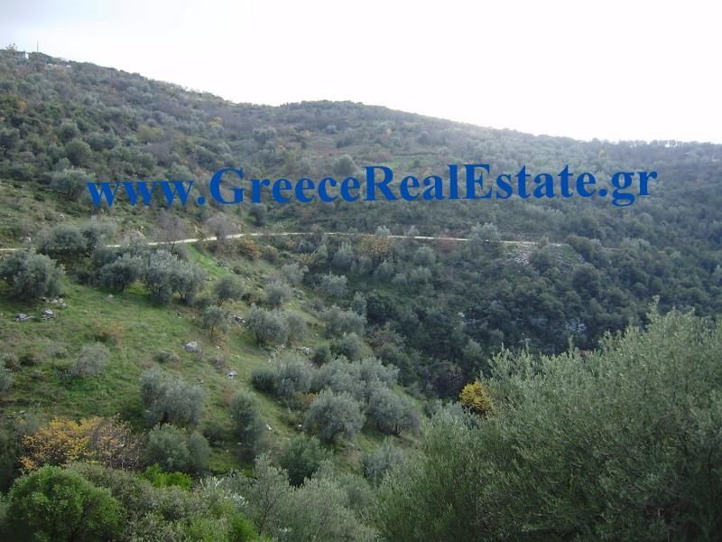 ΑΓΡΟΤΕΜΑΧΙΟ - ΕΛΑΙΩΝΑΣ ΟΙΚΟΔΟΜΗΣΙΜΟ