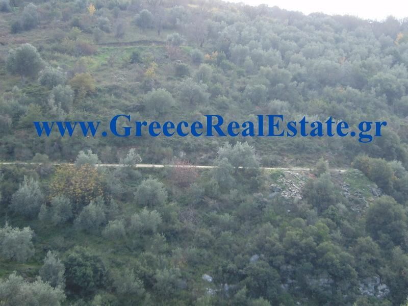ΑΓΡΟΤΕΜΑΧΙΟ - ΕΛΑΙΩΝΑΣ ΟΙΚΟΔΟΜΗΣΙΜΟ