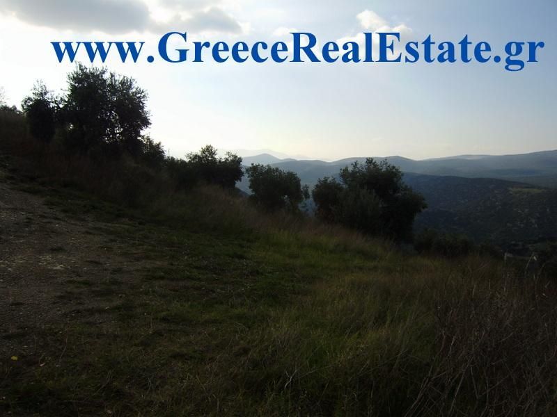 ΑΓΡΟΤΕΜΑΧΙΟ - ΕΛΑΙΩΝΑΣ ΟΙΚΟΔΟΜΗΣΙΜΟ