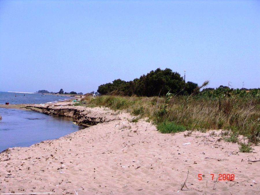 Sale, Parcel, 45000m² Lechaina, Mirsini | 4349188 | Spitogatos